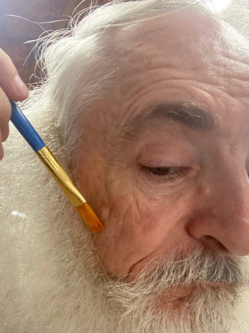 Wig and Beard Maintenance - ZM hair