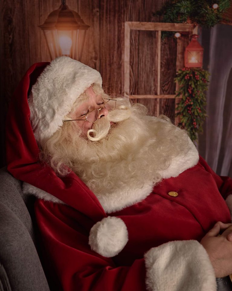 Top 20 Beautiful Santa of 2022 - ZM hair