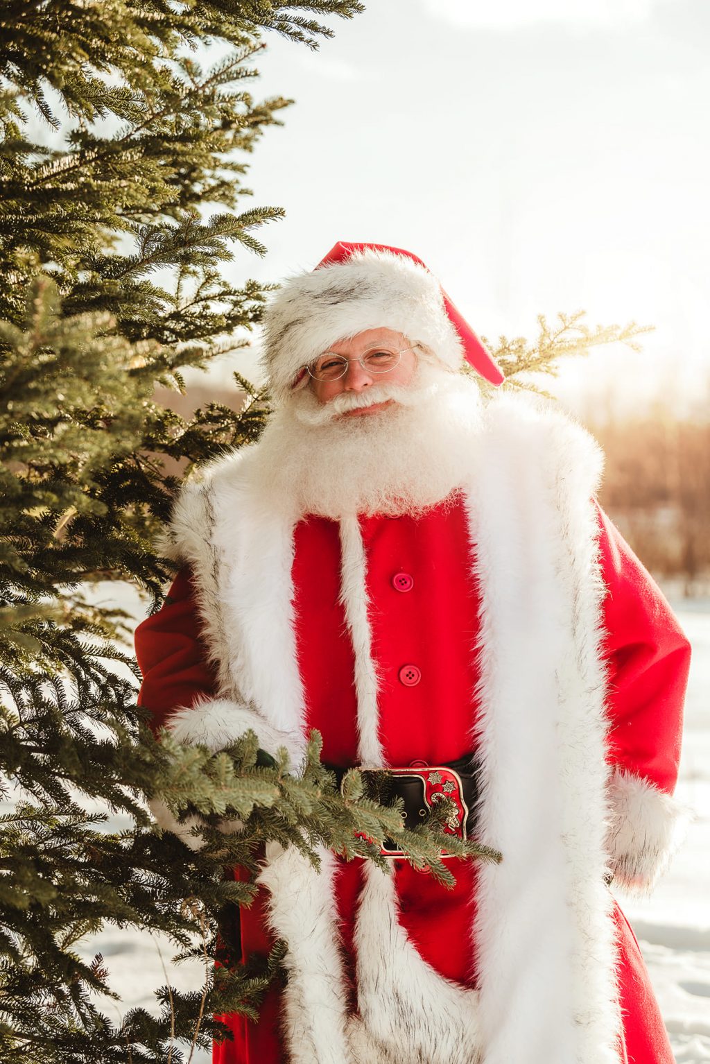 Top 20 Beautiful Santa of 2022 - ZM hair