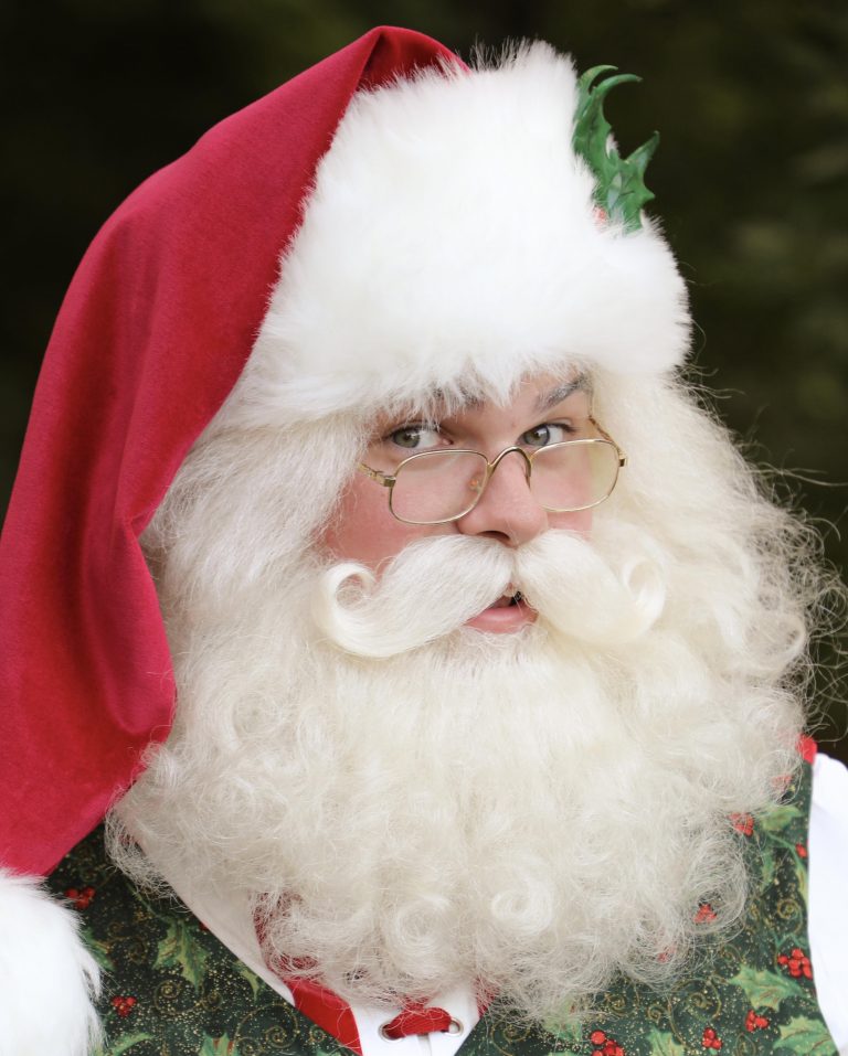 Top 20 Beautiful Santa of 2023 - ZM hair