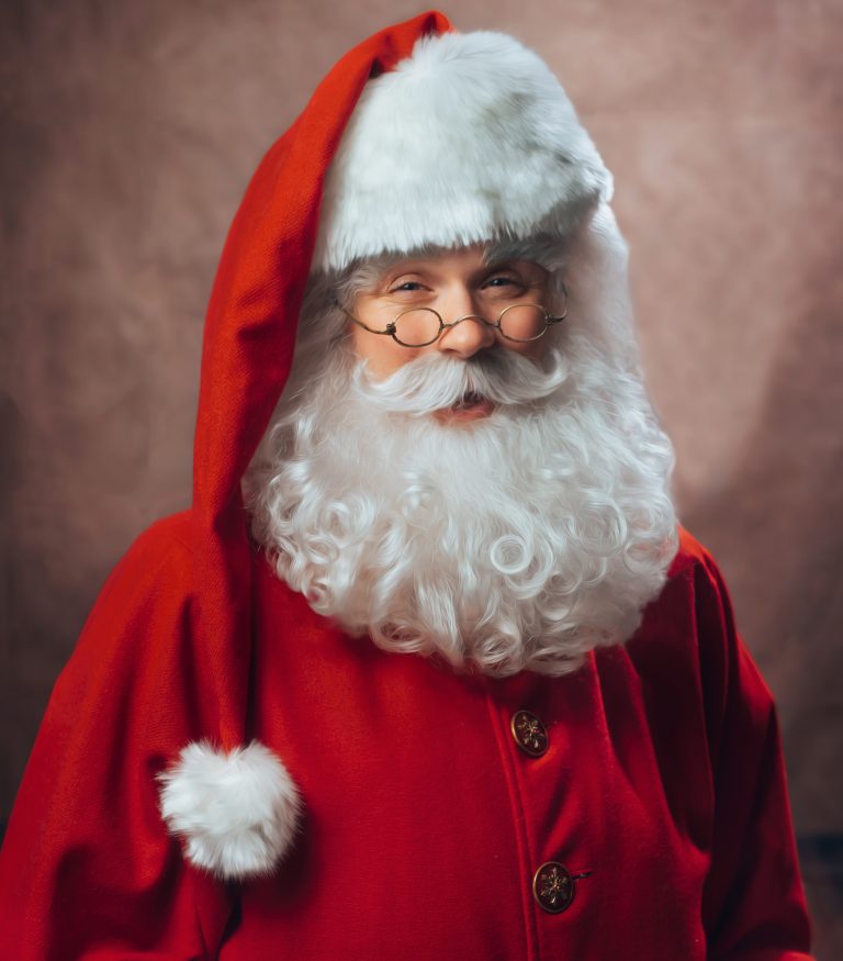 Top 20 Beautiful Santa of 2023 - ZM hair